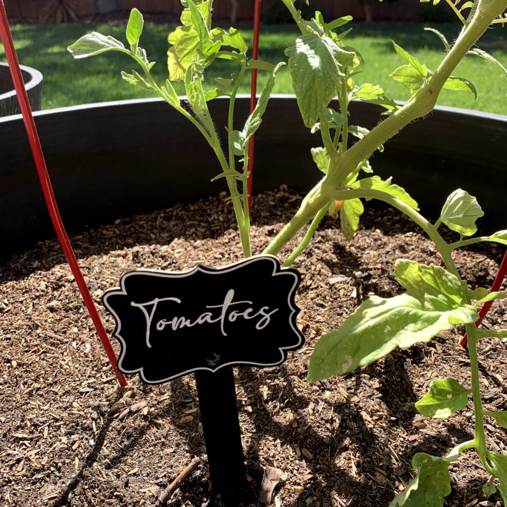 Plant Label Stakes that you can make easily! | Fly and Design